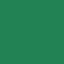 RAL 6032 Signal Green - Bold & Dynamic Tinned Paint